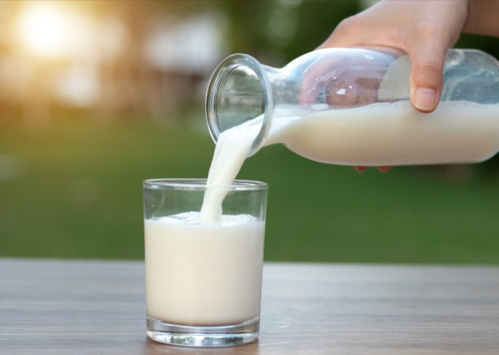 La producción de leche alcanzó su mejor nivel de la última década ...